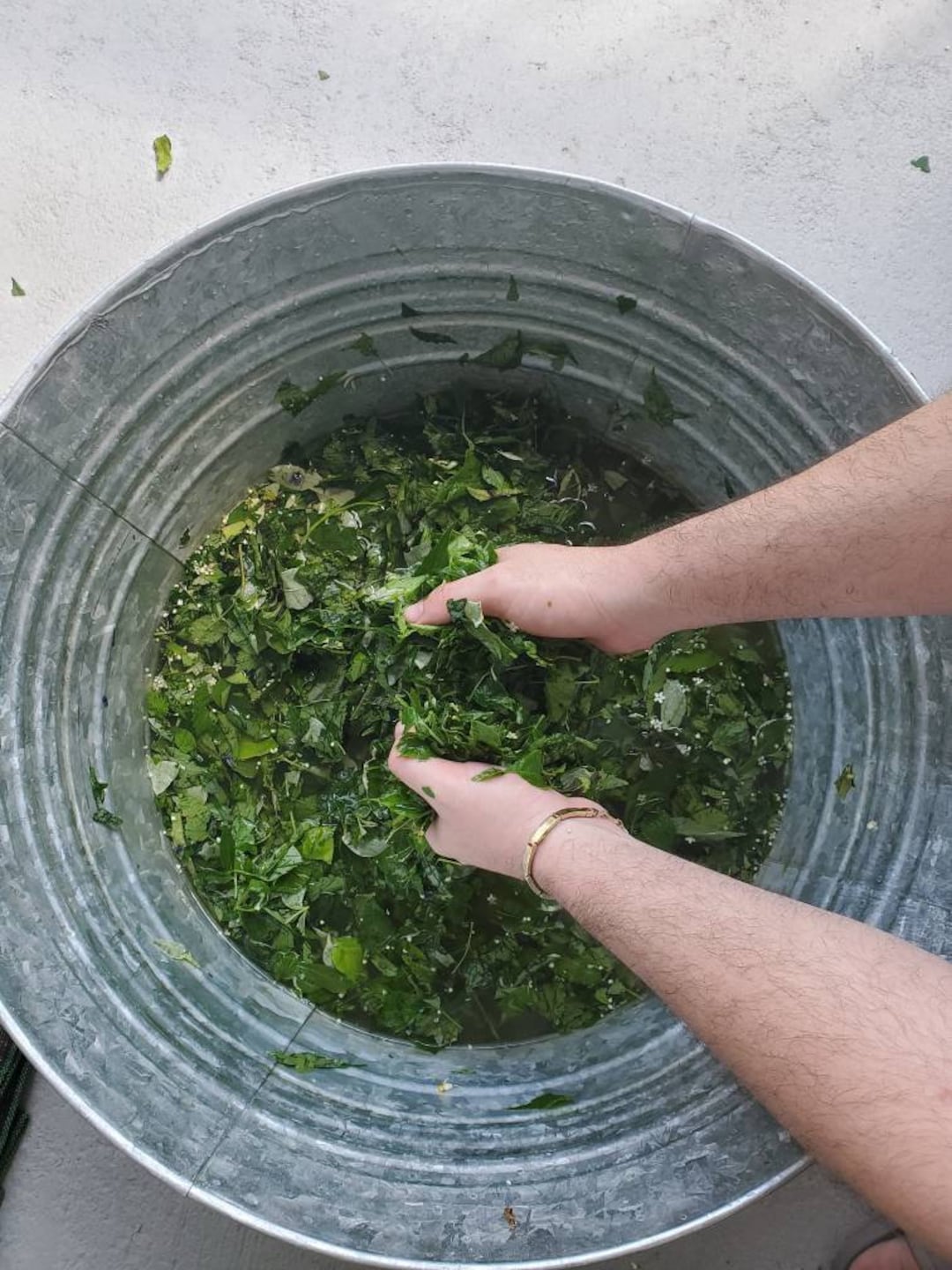 Omiero Umiero De San Lazaro With 4 Herbs Santeria Osha Palo Egun Ifa ...