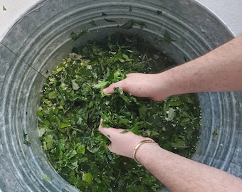 Omiero Umiero De Ochun With 5 Herbs Santeria Osha Palo Egun Ifa Orisha ...