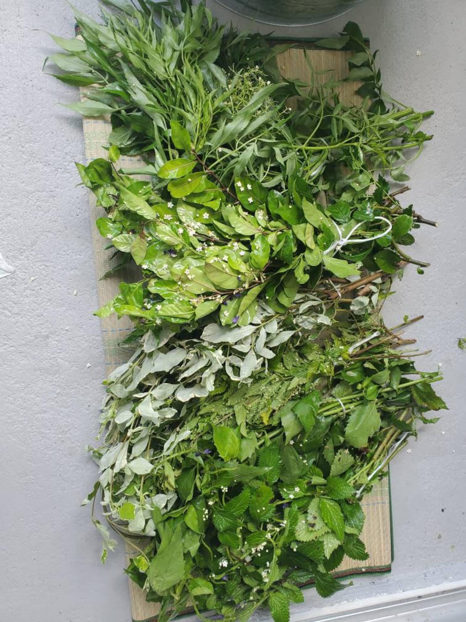 24 Bottles Cleansing Omiero Umiero with 7 Herbs Santeria Osha | Etsy