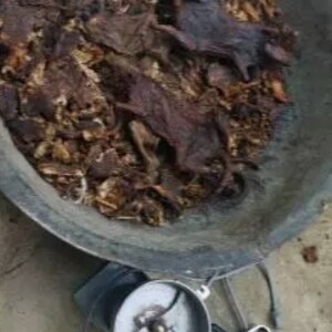 Pure Jutia Ahumado Santeria Ahumada Osha Orishas Polvo Yoruba Ifa 2oz ...