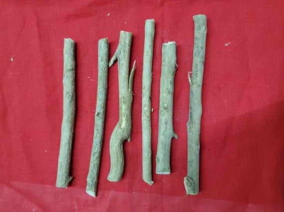 6 Palo ALEJO Santeria Palo Prenda | Etsy