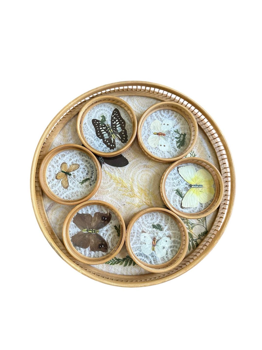 Vintage Pressed Butterflies Bamboo and Glass Serving Tray and Coasters ...