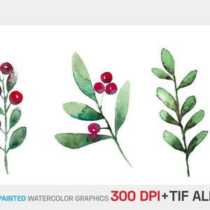 Watercolor Clipart, Holiday Clipart, Winter Clipart, Winter Greenery ...