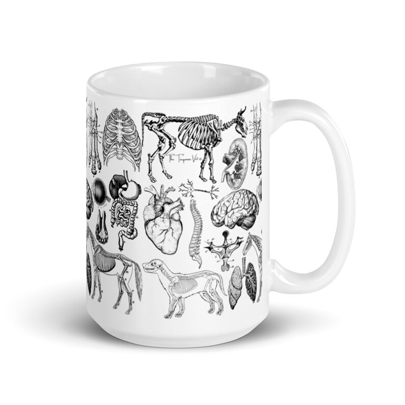 Veterinary Anatomy White Glossy Mug - Etsy