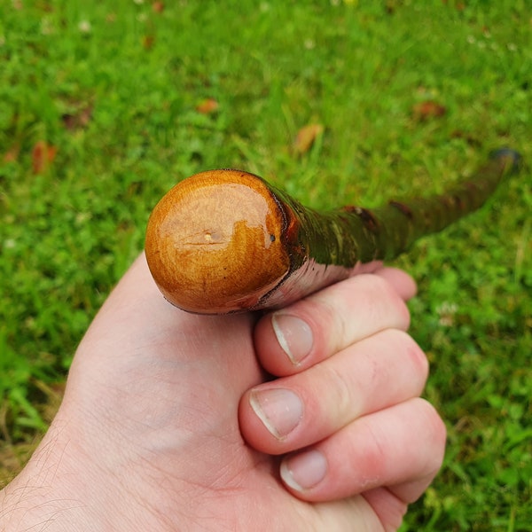 Irish Blackthorn Walking Stick - Etsy