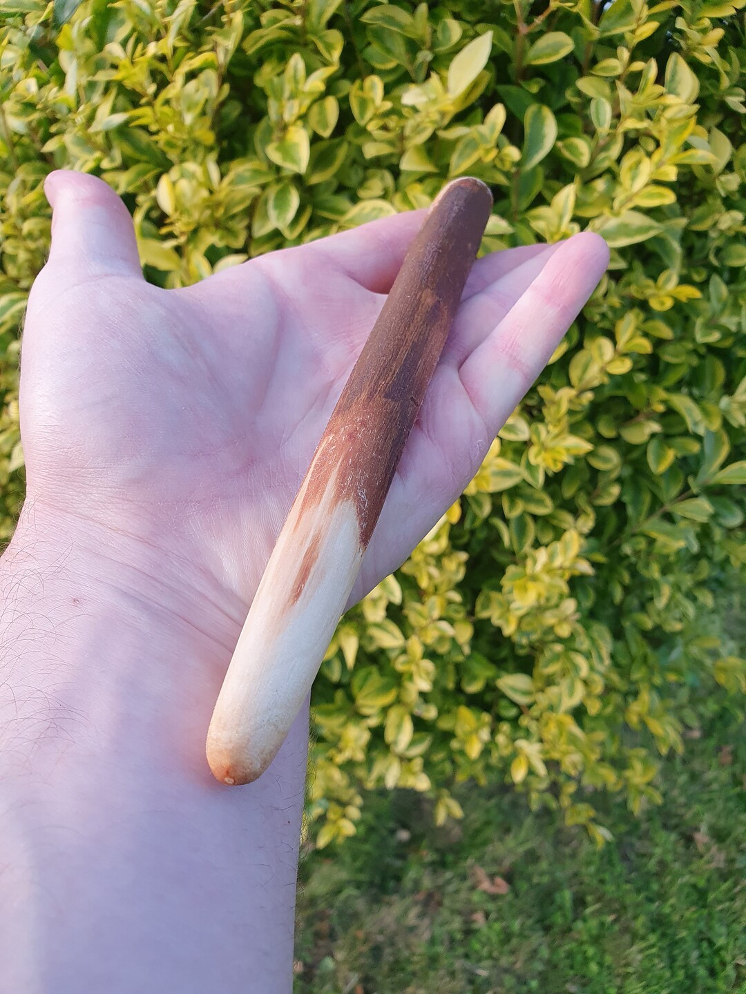 Irish Willow Wand tree of the Water - Etsy