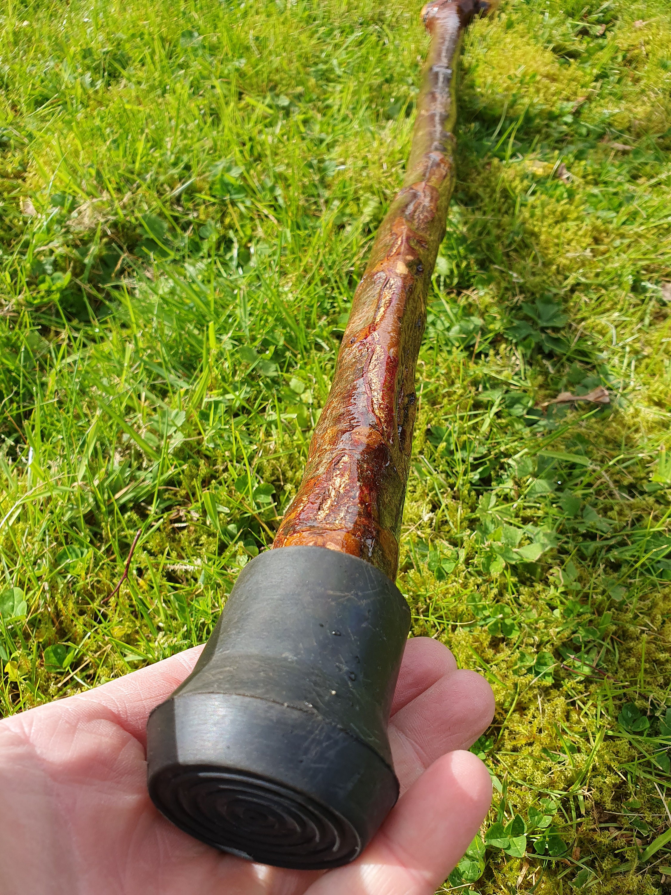 Irish Blackthorn Walking Stick traditional Irish Natural - Etsy UK