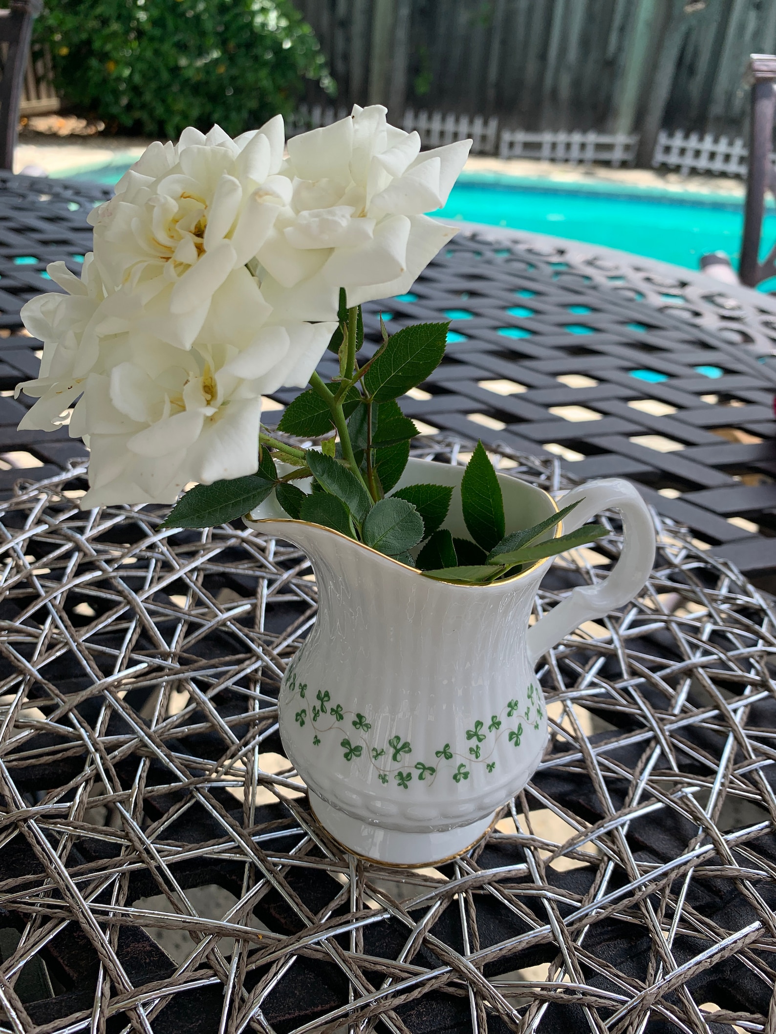 Rare Royal Tara Creamer From Galway Ireland - Etsy