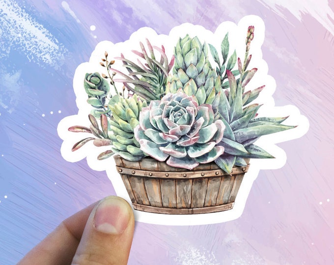 Succulent Sticker, Succulents, Succulent Stickers, Plant Stickers ...