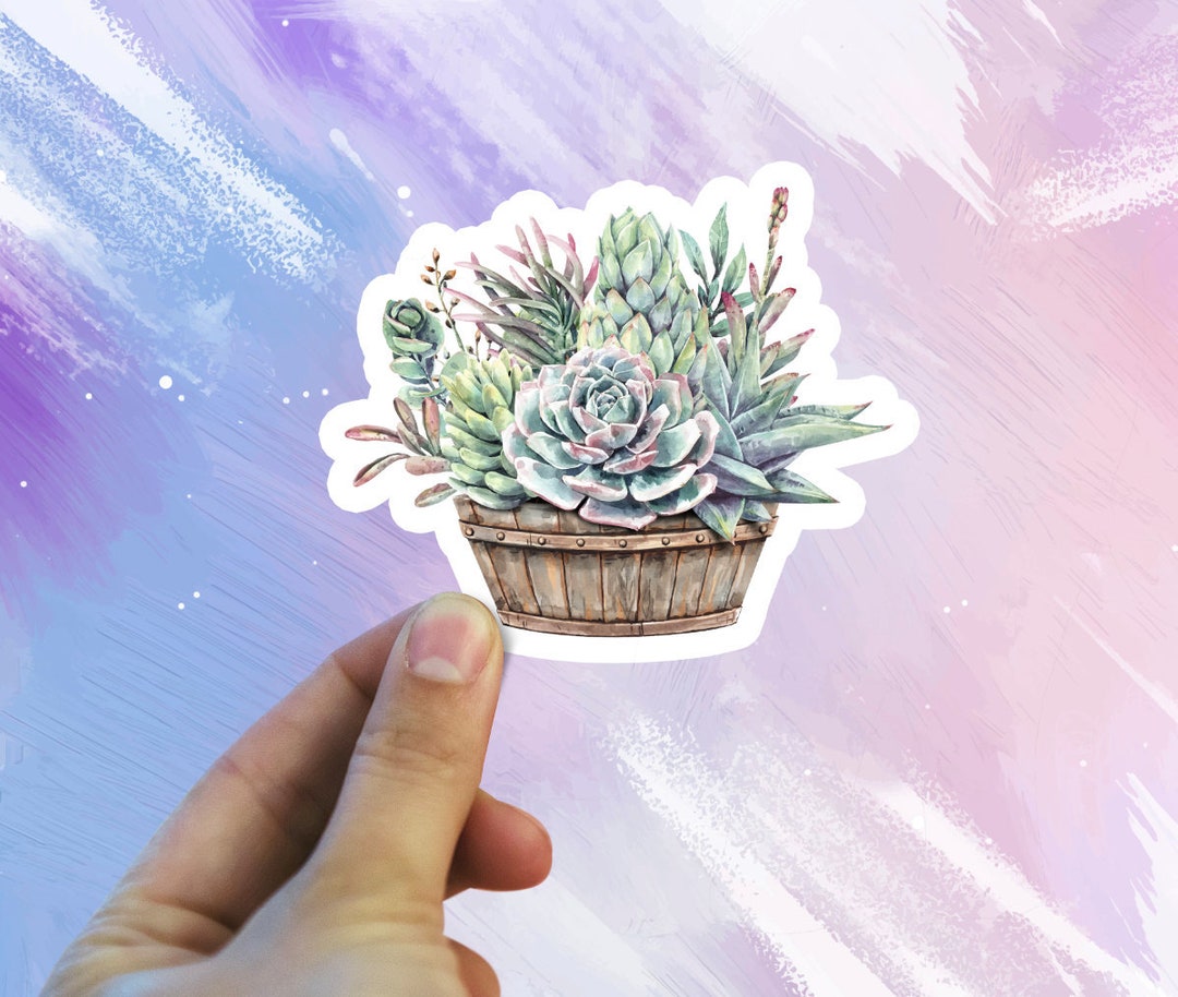 Succulent Sticker, Succulents, Succulent Stickers, Plant Stickers ...
