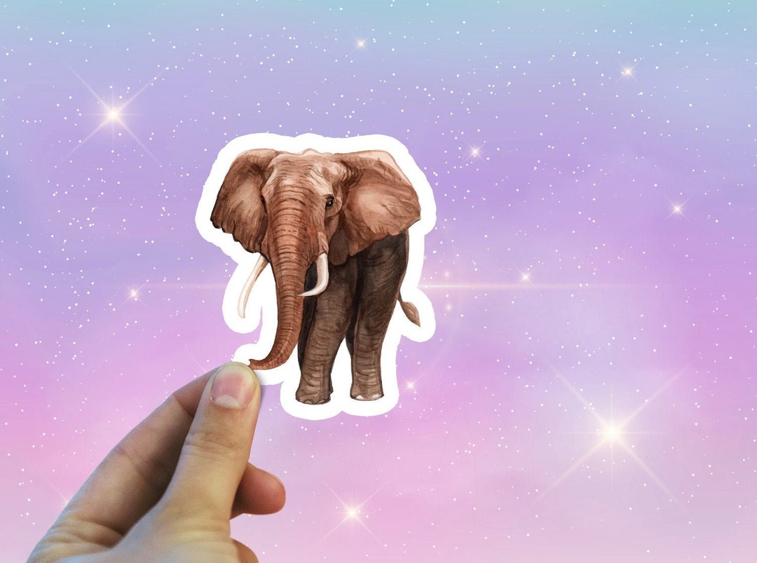 Elephant Sticker, Elephants, Elephant, Animal Sticker, Water Bottle ...