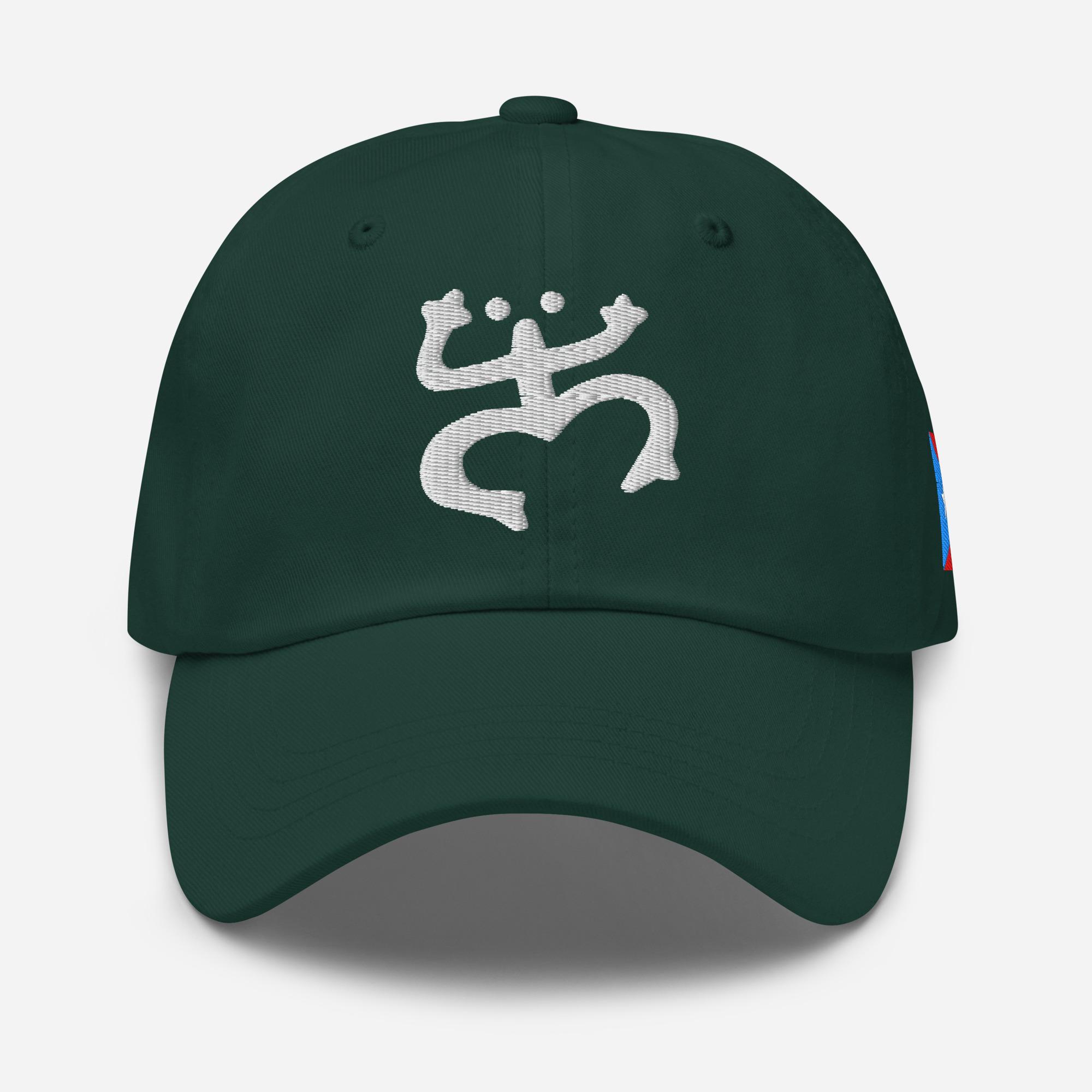 Taino Coqui Puerto Rico Dad Hat White Embroidered – Light Blue Flag Cap ...