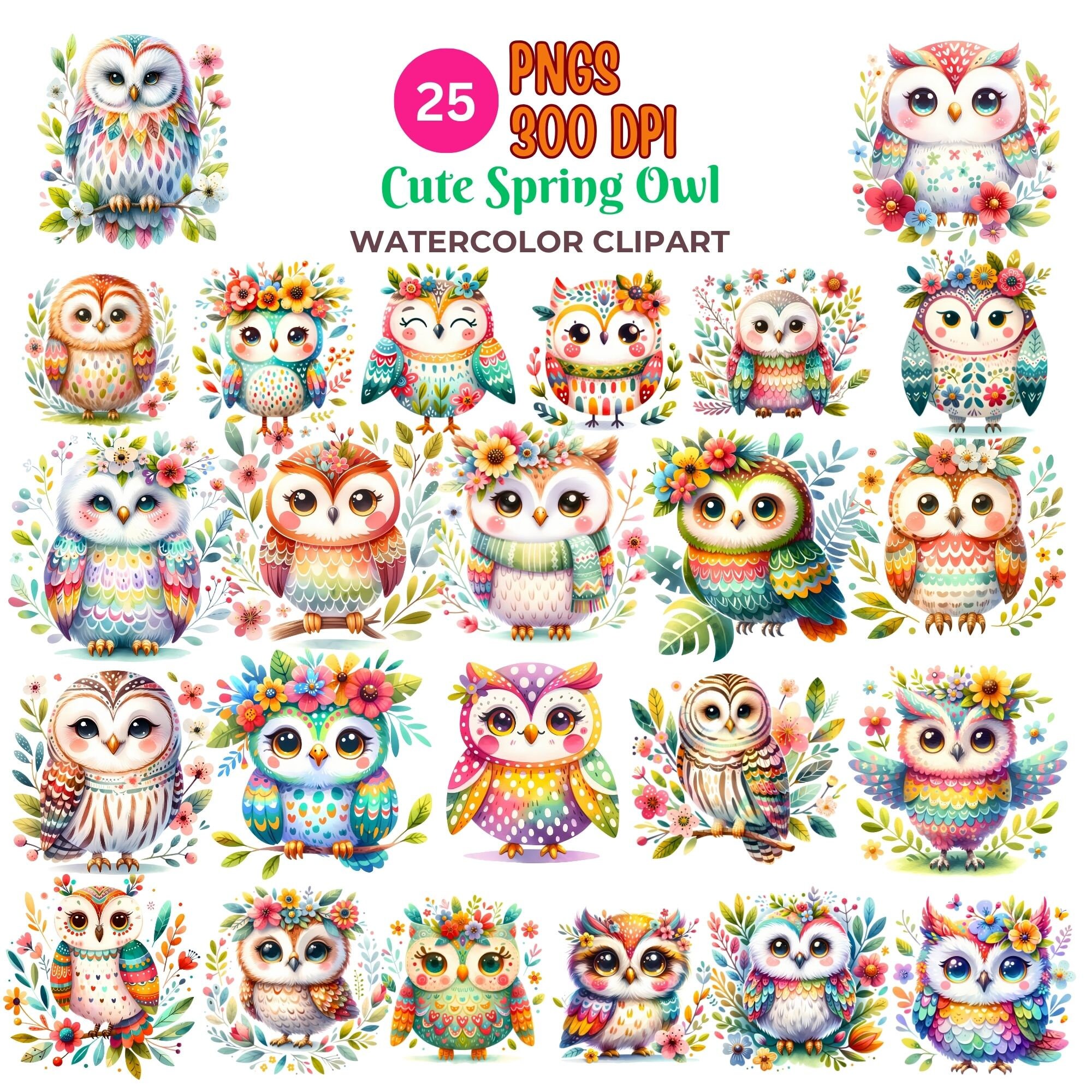 Cute Spring Owl in a Watercolor Clipart, 25 PNG Spring Owl Clipart ...
