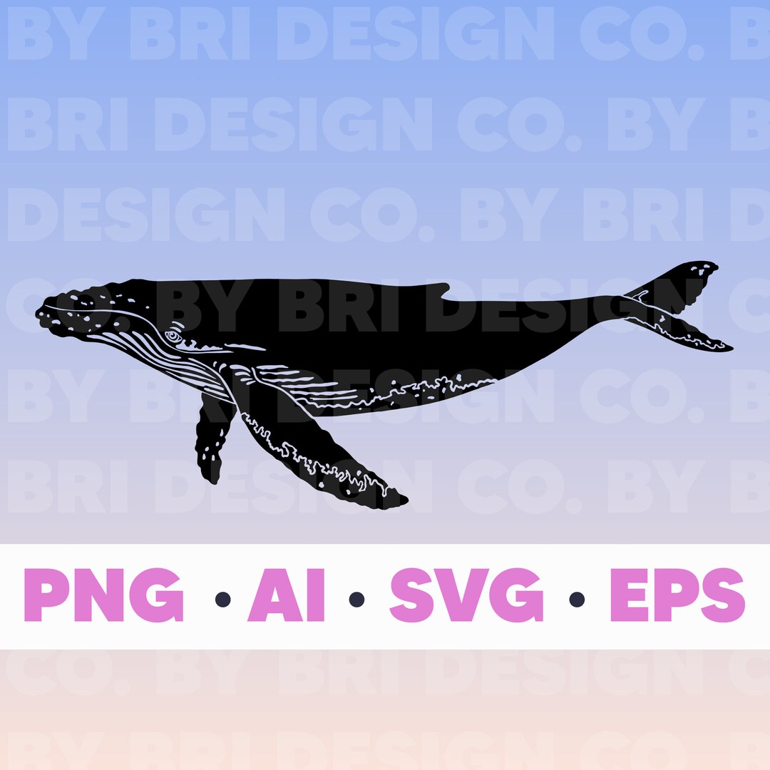 Whale PNG SVG EPS Ai, Digital Download - Etsy