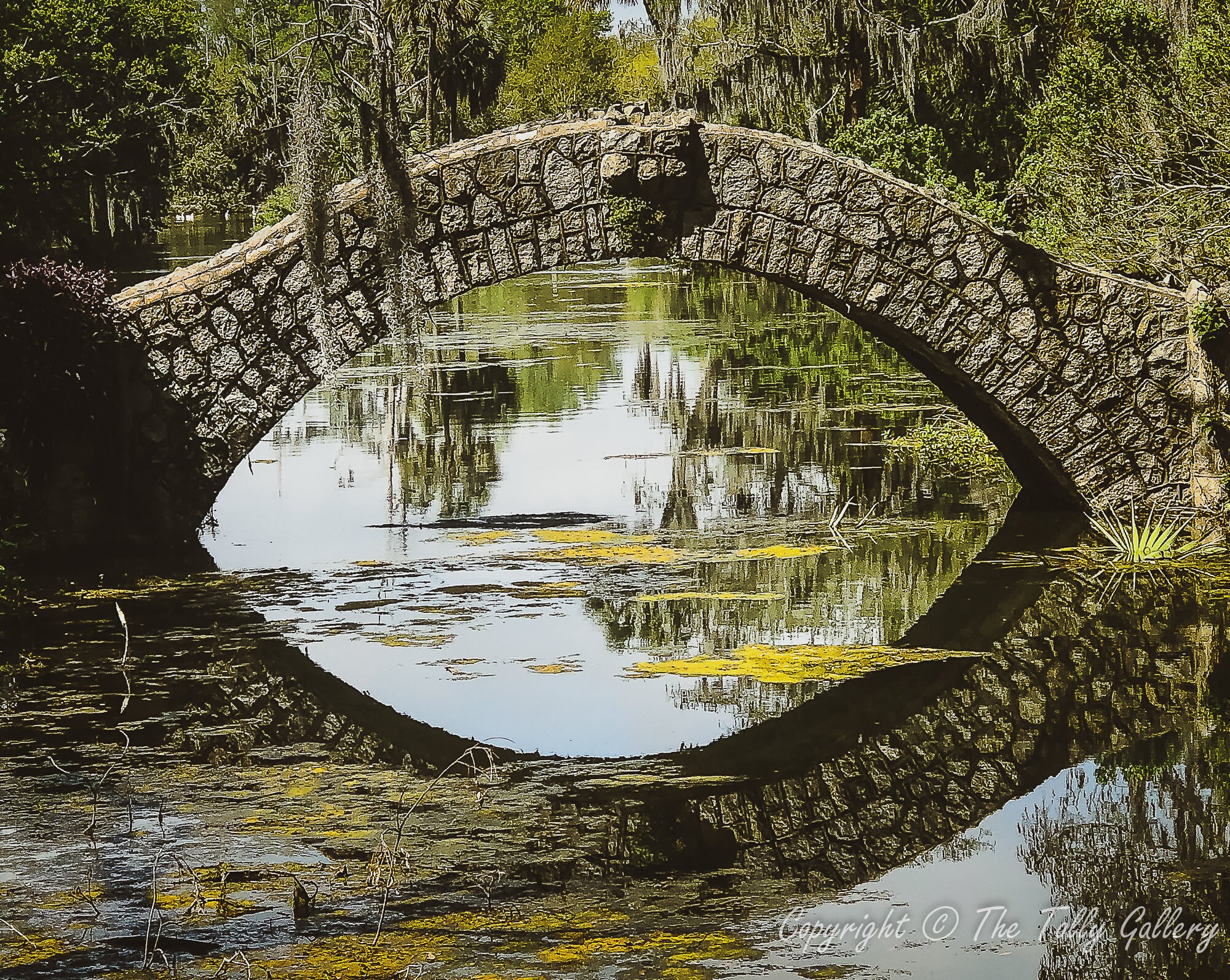 NOLA Park bridge Nature photo print Country footbridge photo | Etsy