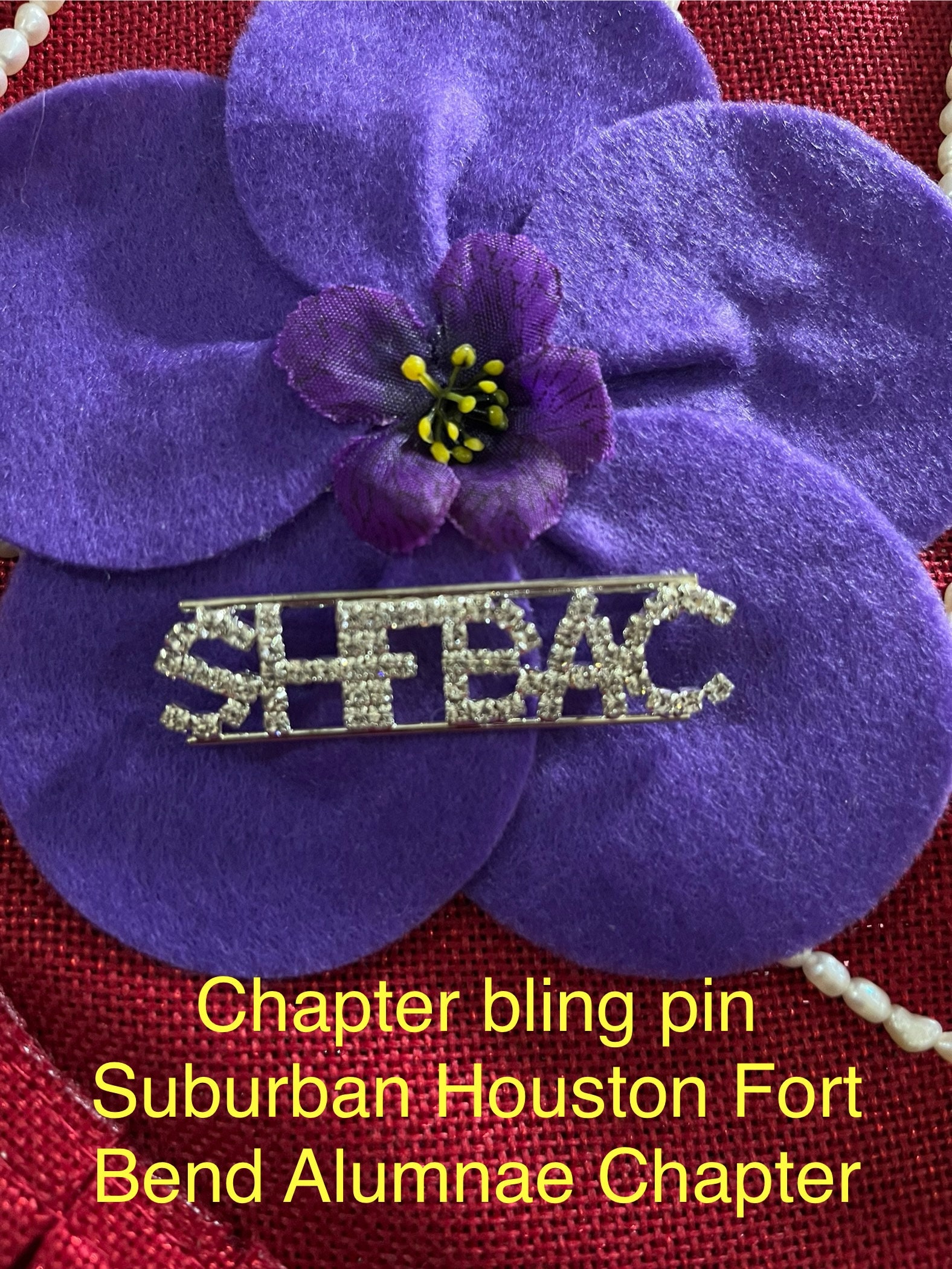 SHFBAC Bling Chapter Pin, Suburban Houston Fort Bend Alumnae Chapter ...