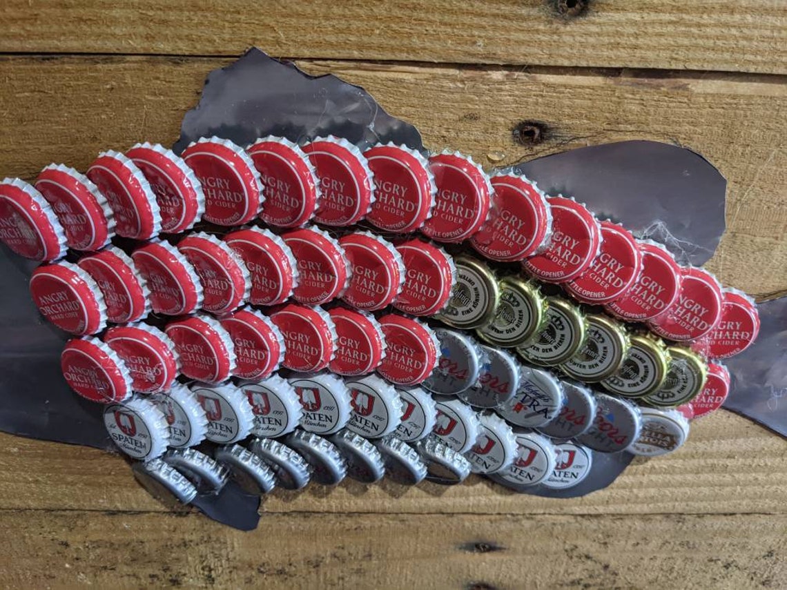 Fish Bottle Cap Art - Etsy