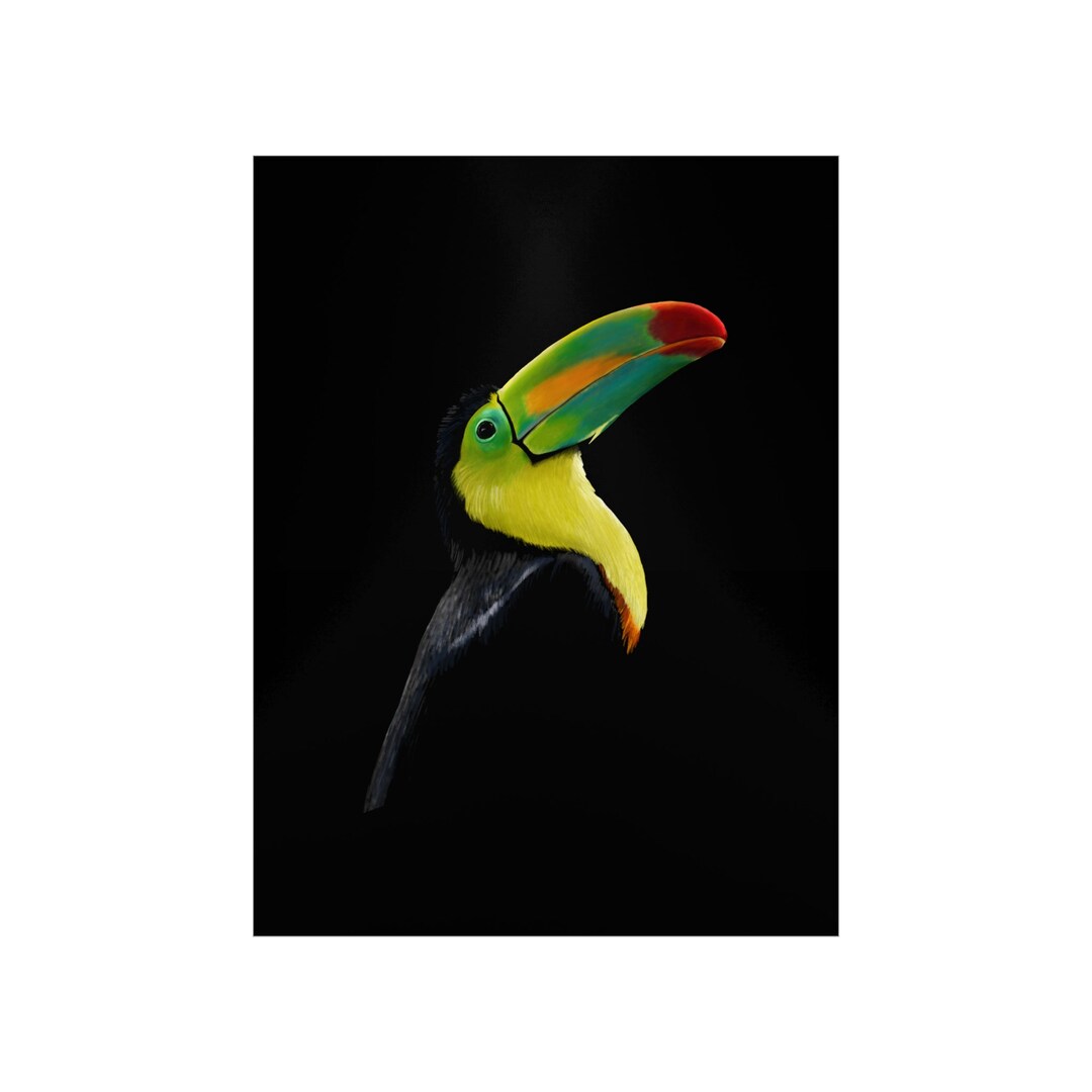 Cute Tropical Bird Colorful Toucan Modern Black Premium Matte Poster - Etsy