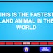 Kids Quizgame Powerpoint Game Jeopardy Game Kids Games for Zoom Zoom ...