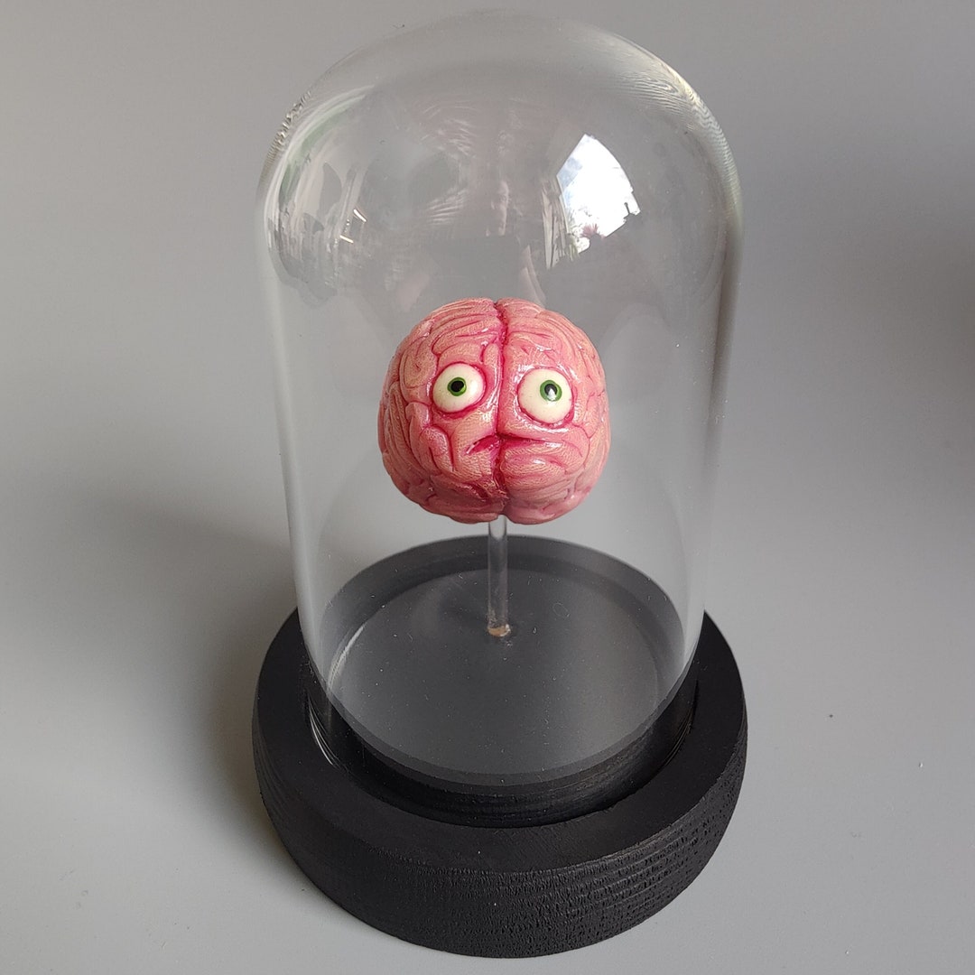 Weird Brain Horror Sculpture in Glass Dome, Halloween Doll Decor ...