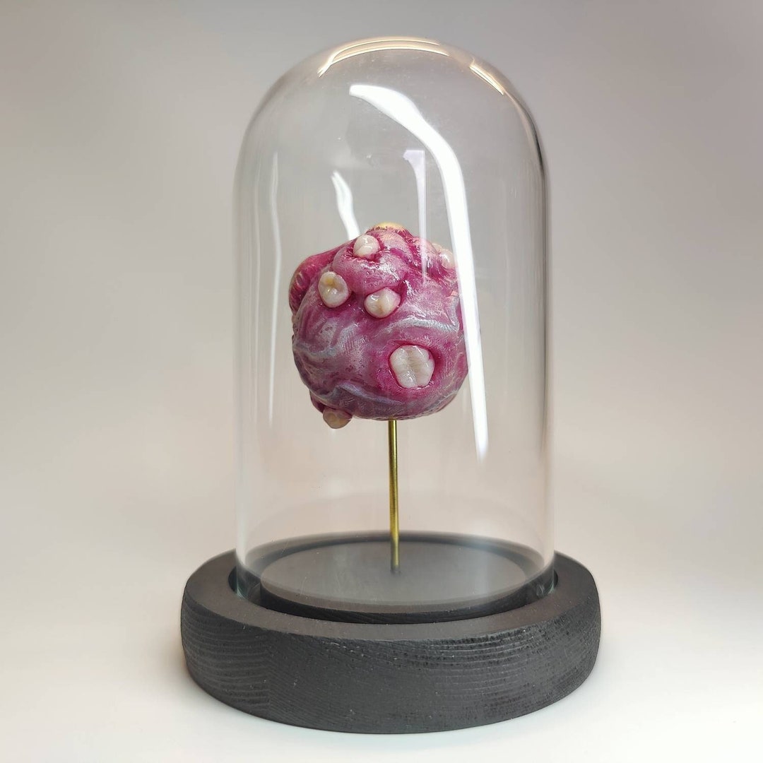 Teratoma Specimen Horror Sculpture, Teratoma Specimen Art, Gore Decor ...