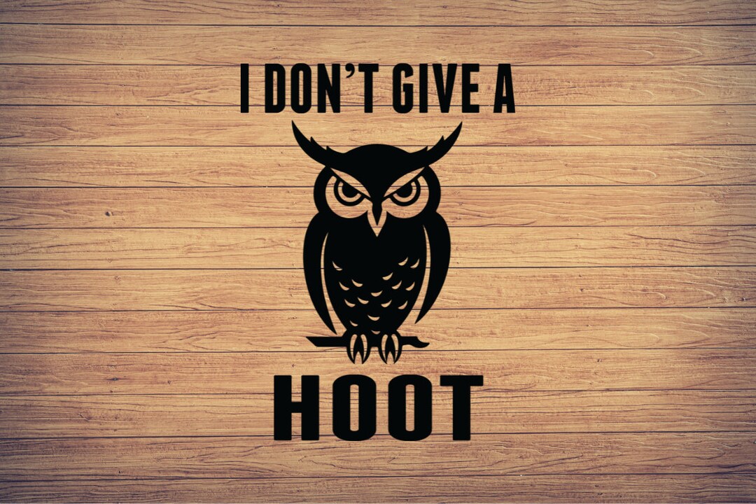 I Don't Give A Hoot Owl Svg, Owl Svg, Owl Svg Files, Owl Cricut, Owl ...