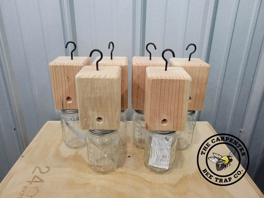 6 X Carpenter Bee Traps With Glass Mason Jar Made in the USA - Etsy