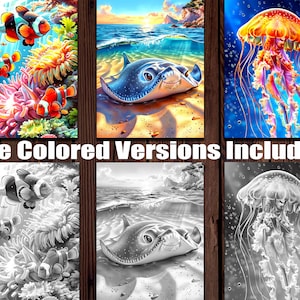 Underwater World Coloring Pages: 40 Grayscale Sea Creatures (printable ...