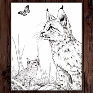 50 Cute Lynx Coloring Pages, Animal Coloring Book for Cat Lovers ...