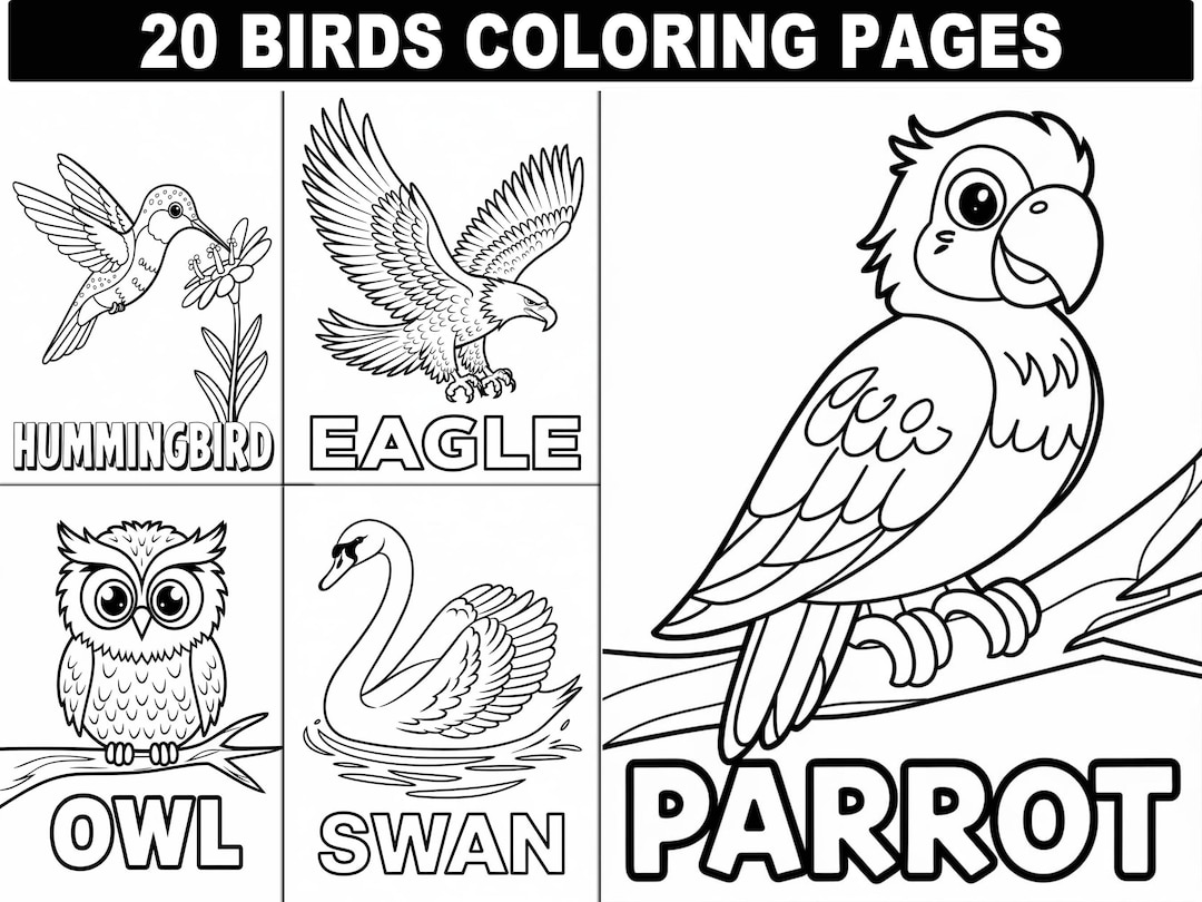 Bird Coloring Pages Digital Download | 20 Fun and Educational Designs ...