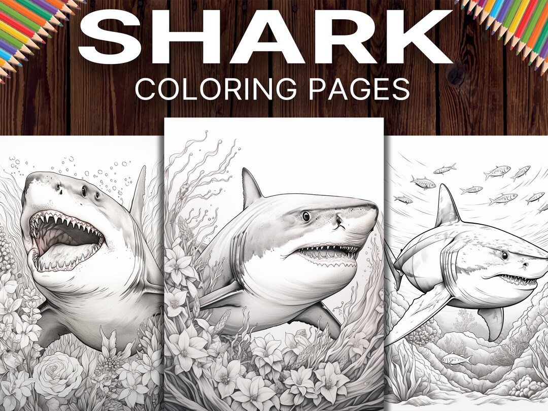 Shark Coloring Pages for Adults: Sea Life Designs (digital Download) - Etsy