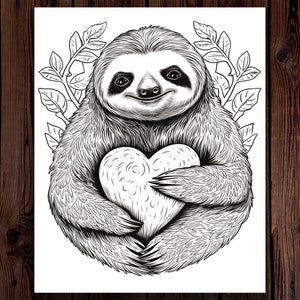 50 Cute Sloths Coloring Pages for Adults, Animal Coloring Book for ...