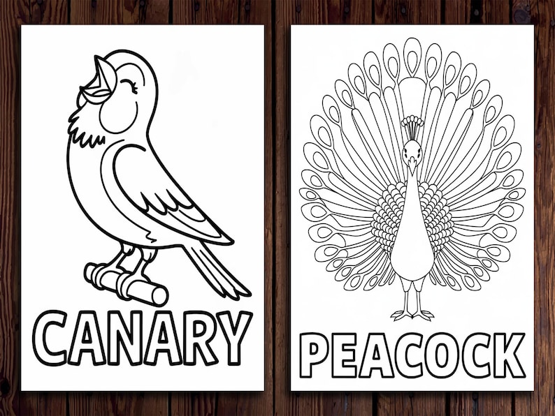 Bird Coloring Pages: 20 Fun Bird Illustrations for Kids (digital ...