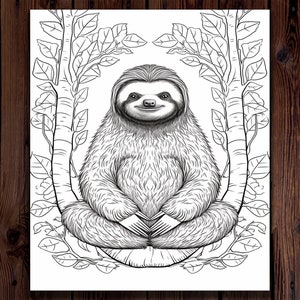 50 Cute Sloths Coloring Pages for Adults, Animal Coloring Book for ...