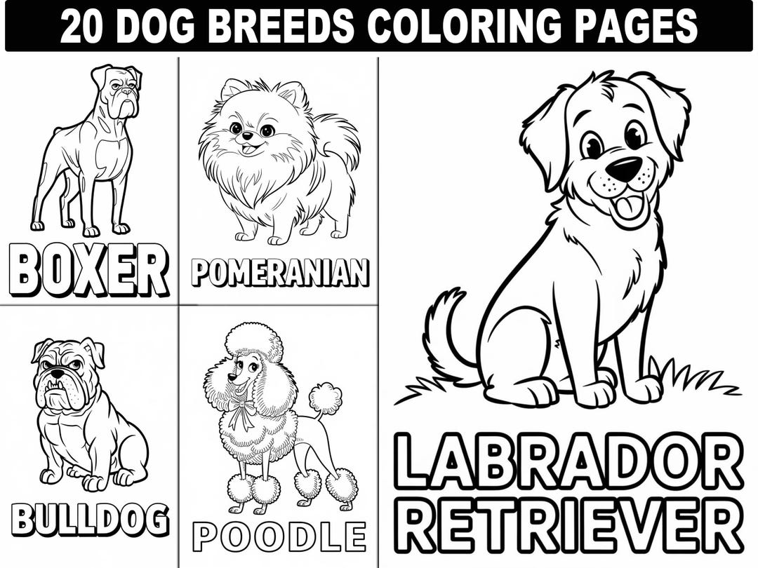 Dog Breeds Kids Coloring Pages Digital Download | 20 Fun and ...