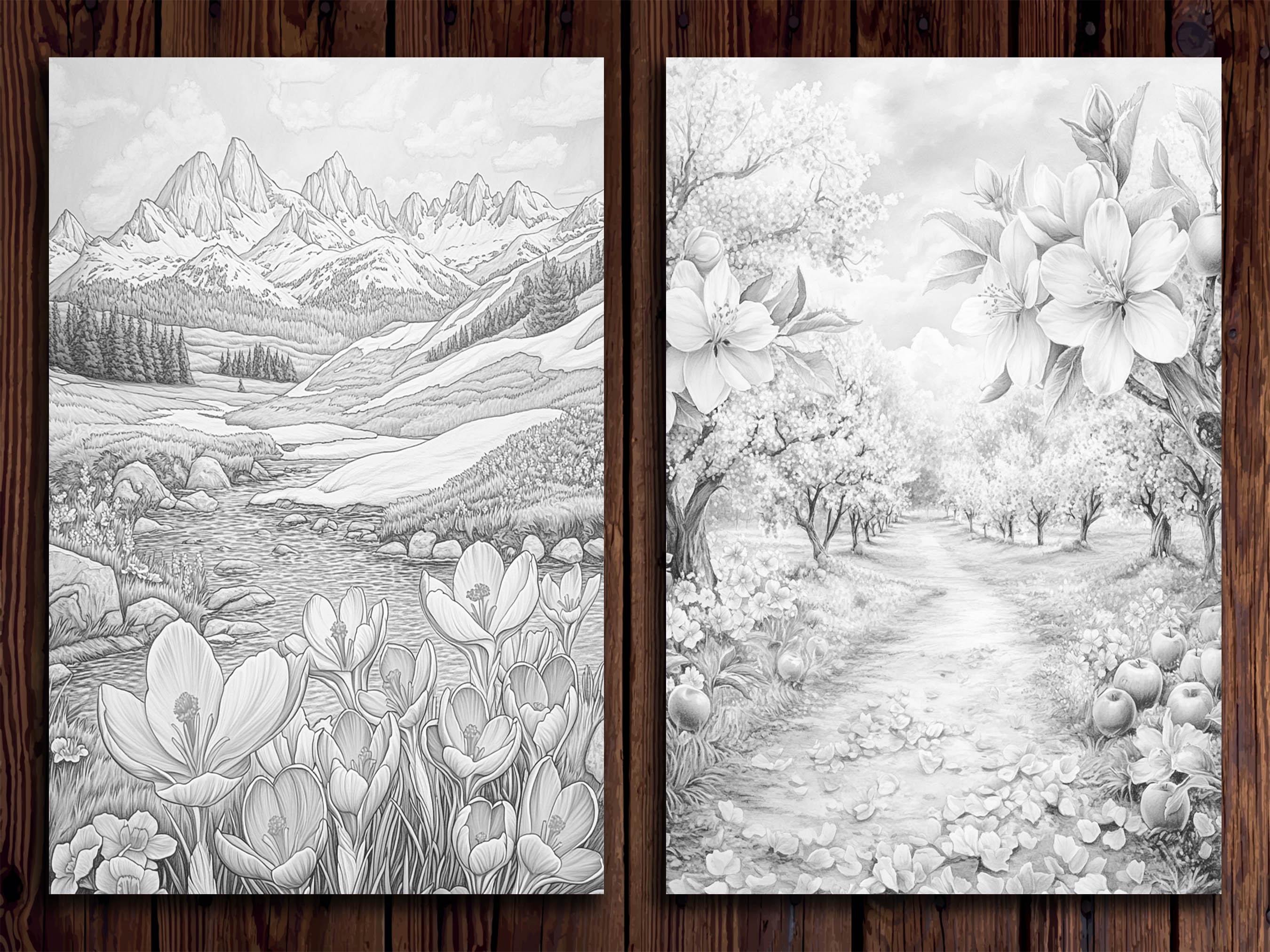 Spring Landscapes Coloring Pages: Grayscale Nature Scenes (digital ...