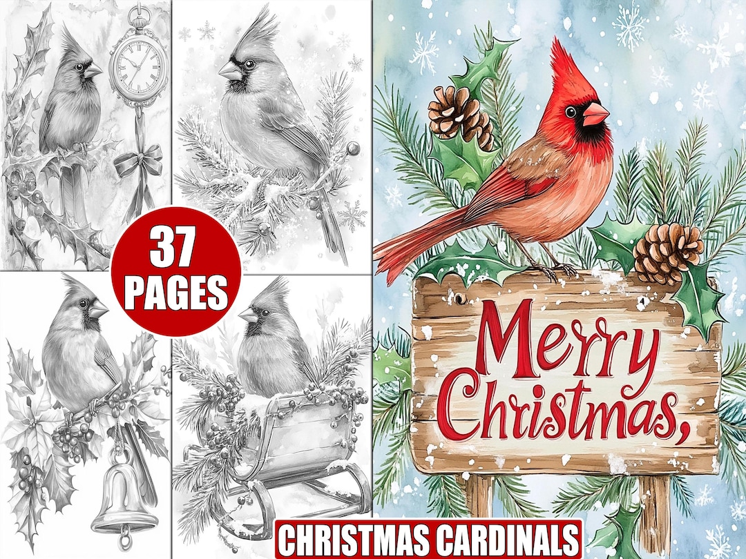 Christmas Cardinal Coloring Pages: Grayscale Winter Scenes (printable ...