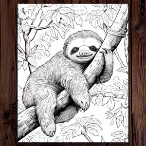 50 Cute Sloths Coloring Pages for Adults, Animal Coloring Book for ...