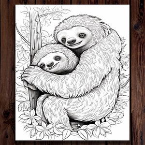 50 Cute Sloths Coloring Pages for Adults, Animal Coloring Book for ...