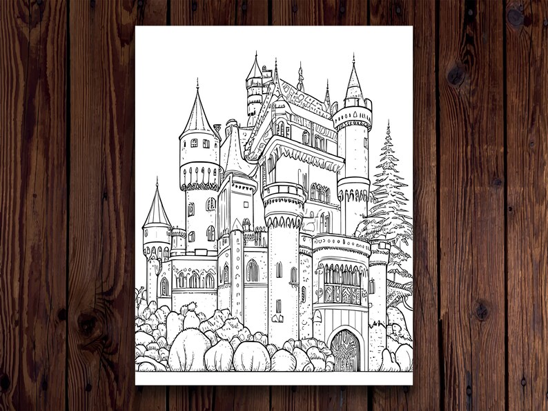 Medieval Castle Coloring Pages: Immerse Yourself in the - Etsy