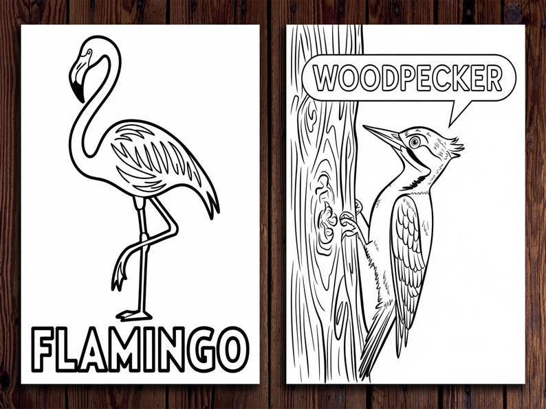 Bird Coloring Pages: 20 Fun Bird Illustrations for Kids (digital ...