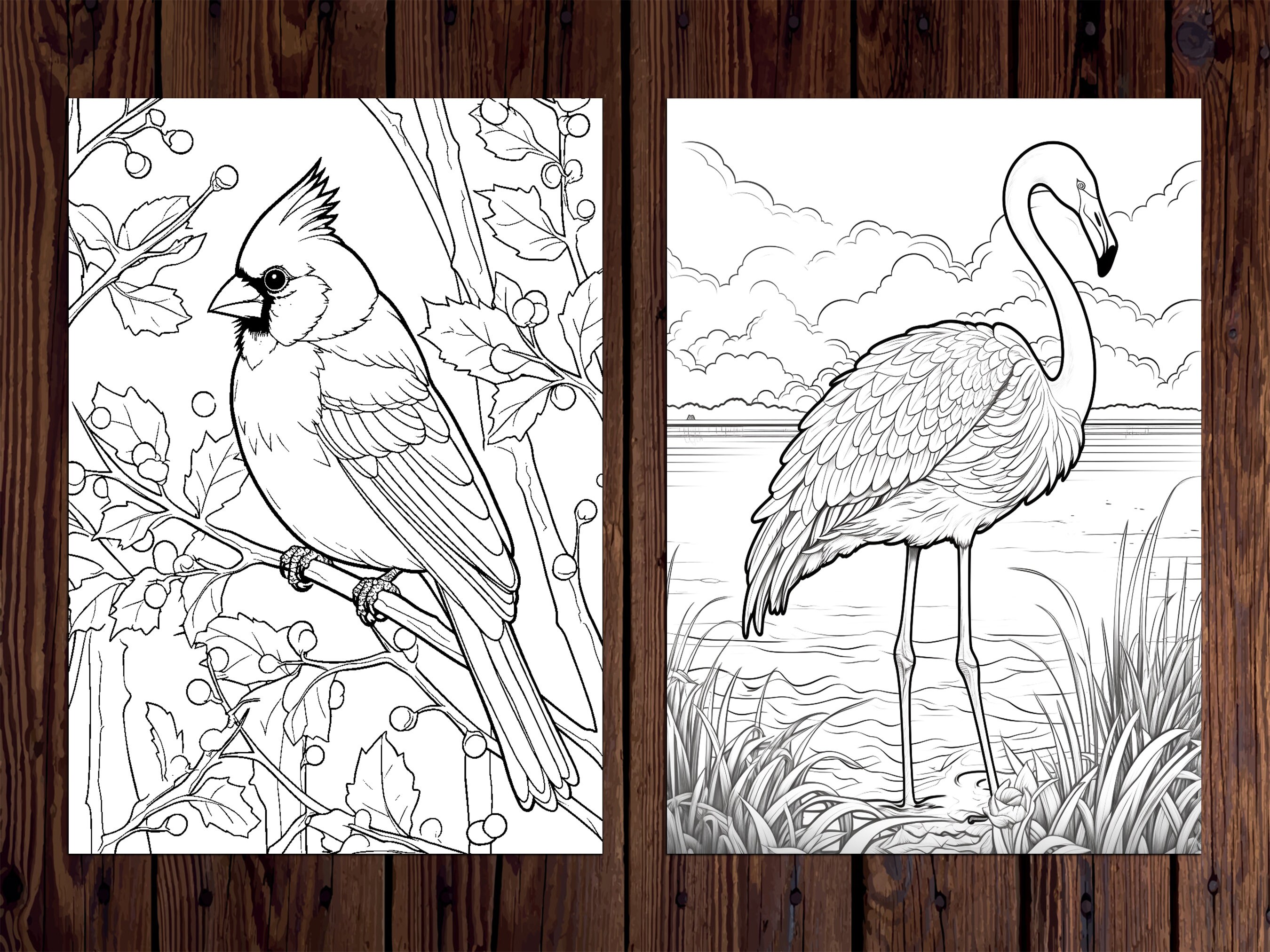50 Birds Coloring Pages for Adults Animal Coloring Book for - Etsy