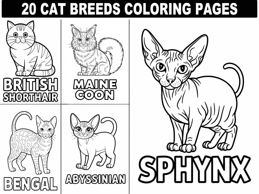 Cat Breeds Kids Coloring Pages Digital Download | 20 Fun & Educational ...