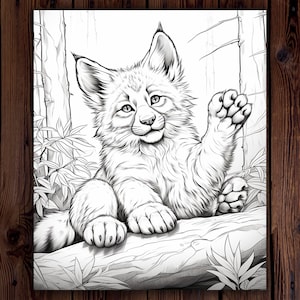 50 Cute Lynx Coloring Pages, Animal Coloring Book for Cat Lovers ...