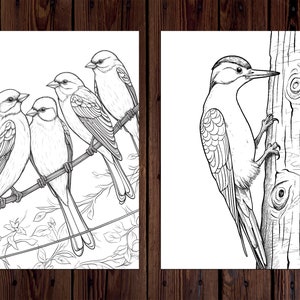 50 Birds Coloring Pages for Adults, Animal Coloring Book for Relaxation ...