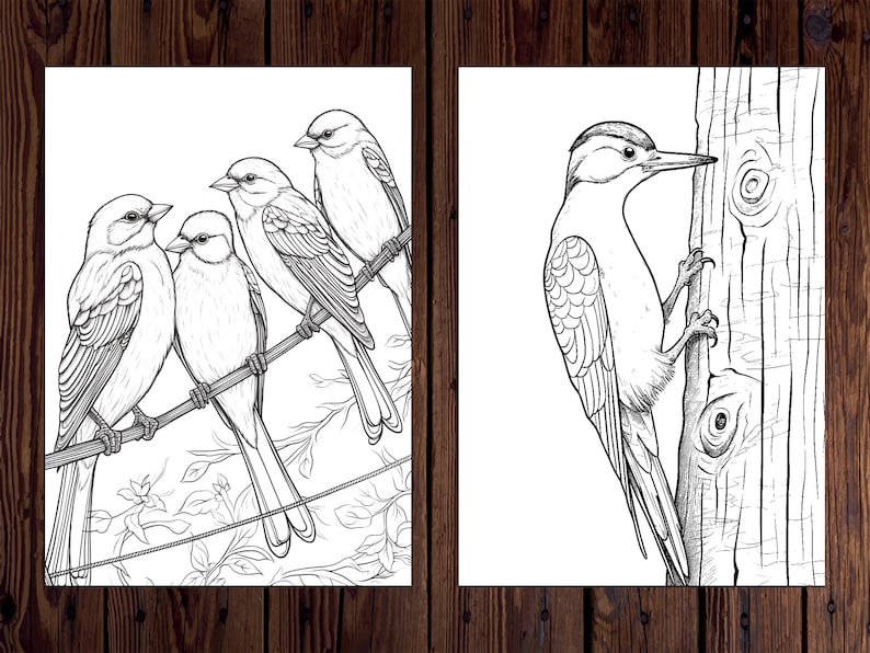 50 Birds Coloring Pages for Adults Animal Coloring Book for - Etsy