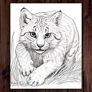50 Cute Lynx Coloring Pages, Animal Coloring Book for Cat Lovers ...