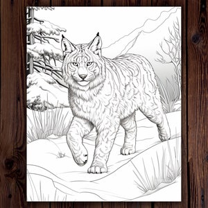 50 Cute Lynx Coloring Pages, Animal Coloring Book for Cat Lovers ...