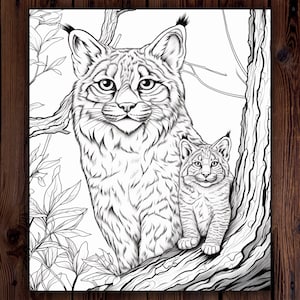 50 Cute Lynx Coloring Pages, Animal Coloring Book for Cat Lovers ...