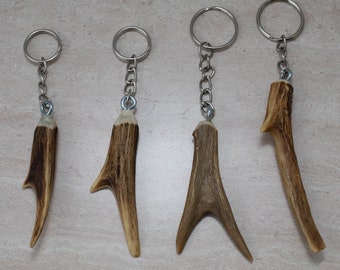 Antler Tip Key Chain - Etsy